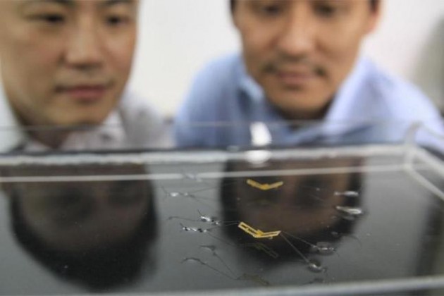 Water Insects Inspire Tiny Jumping Robot | Gephardt Daily