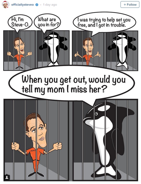 Steve-O Ready For 30-Day Jail Sentence After Anti-SeaWorld Stunt ...