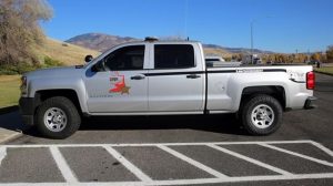 DWR seeking information after buck pronghorn shot, killed on Lake ...