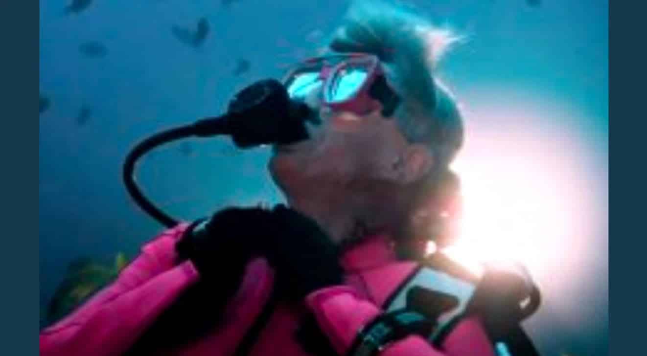 ‘Playing with Sharks’: Valerie Taylor explores love of sharks in new ...