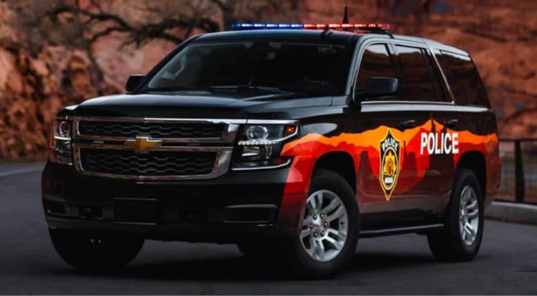 Moab police ID woman killed in fall when tree branch broke in Swanny ...