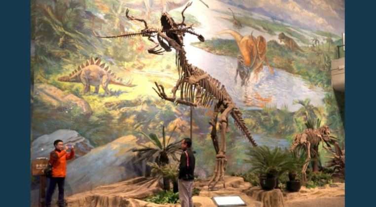 New stegosaurus dinosaur species is oldest discovered in Asia ...