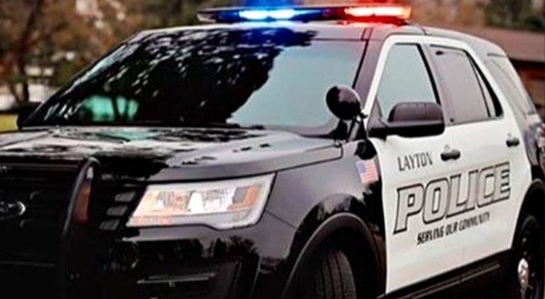 Counselors sent to Vae View Elementary after crossing guard struck ...