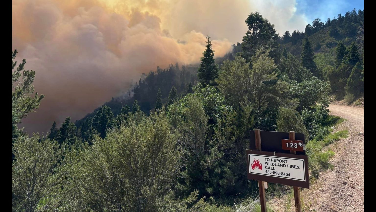 Silver King Fire’s ‘extreme’ behavior leads to nearly 11K-acre blaze ...