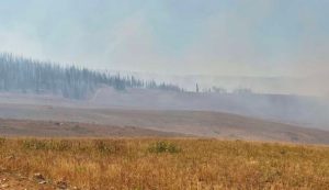 Yellow Lake Fire evacuation orders lifted, some crews released ...