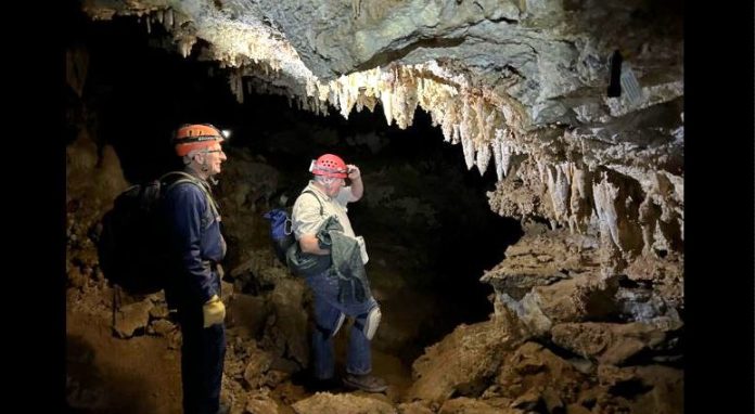 Ice Age fox skeleton found in Uinta Mountains cave | Gephardt Daily