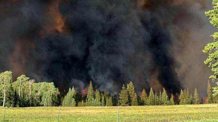 Officials ask public for help identifying person who may have ignited ...