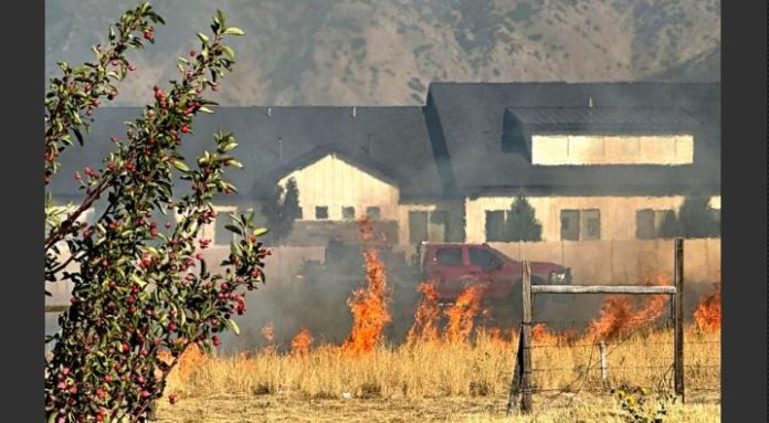 Tooele man, 59, arrested for alleged arson after Saturday grass fire ...