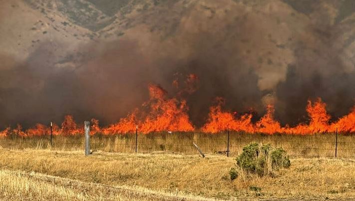 Tooele man, 59, arrested for alleged arson after Saturday grass fire ...