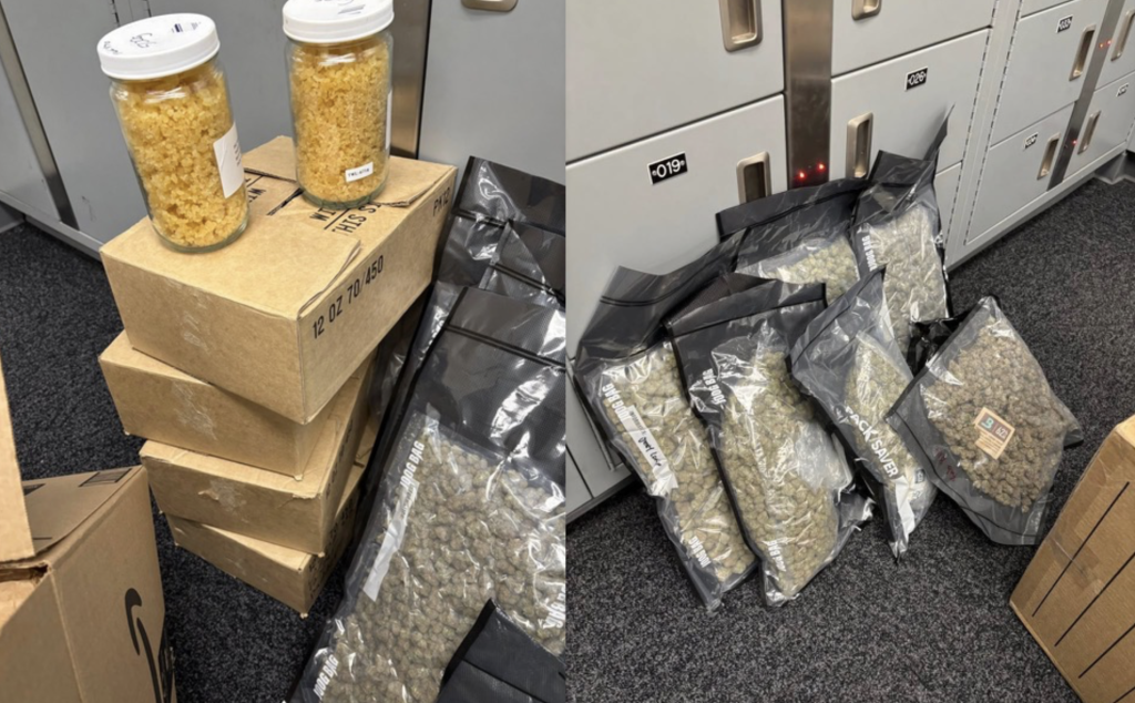 Lehi PD makes alleged drug bust at suspected stash house | Gephardt Daily