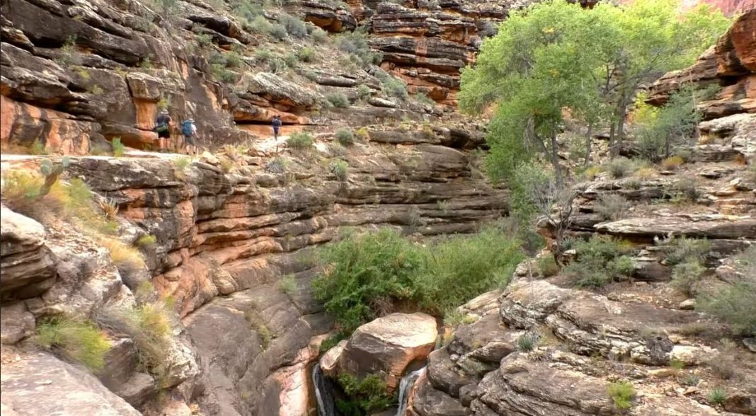 NPS: Teen hiker dies after heat-related incident at Grand Canyon ...